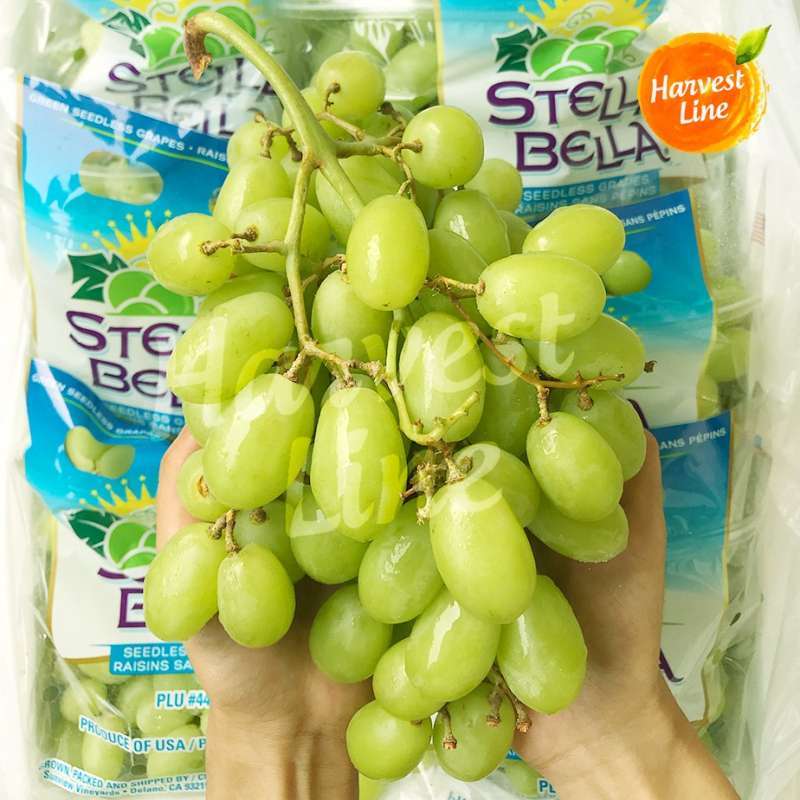 Jual Harga Buah Anggur 1 Kg Terdekat 🏷️ Harga Grosir Murah Terupdate ...