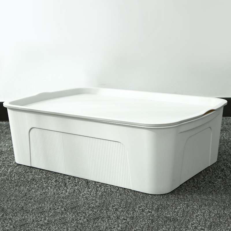 Jual MINISO Kotak Penyimpanan dengan Penutup Storage Box Baju ...