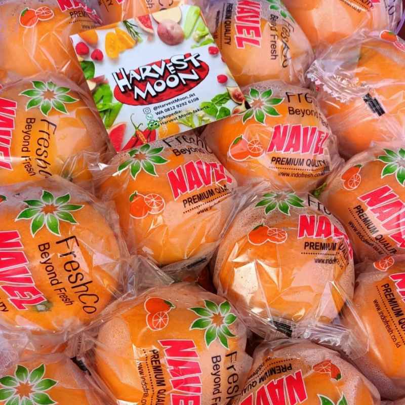 Jual Harvestmoon Sunkist Navel Mr. Orange Per Kg Halal Di Seller ...