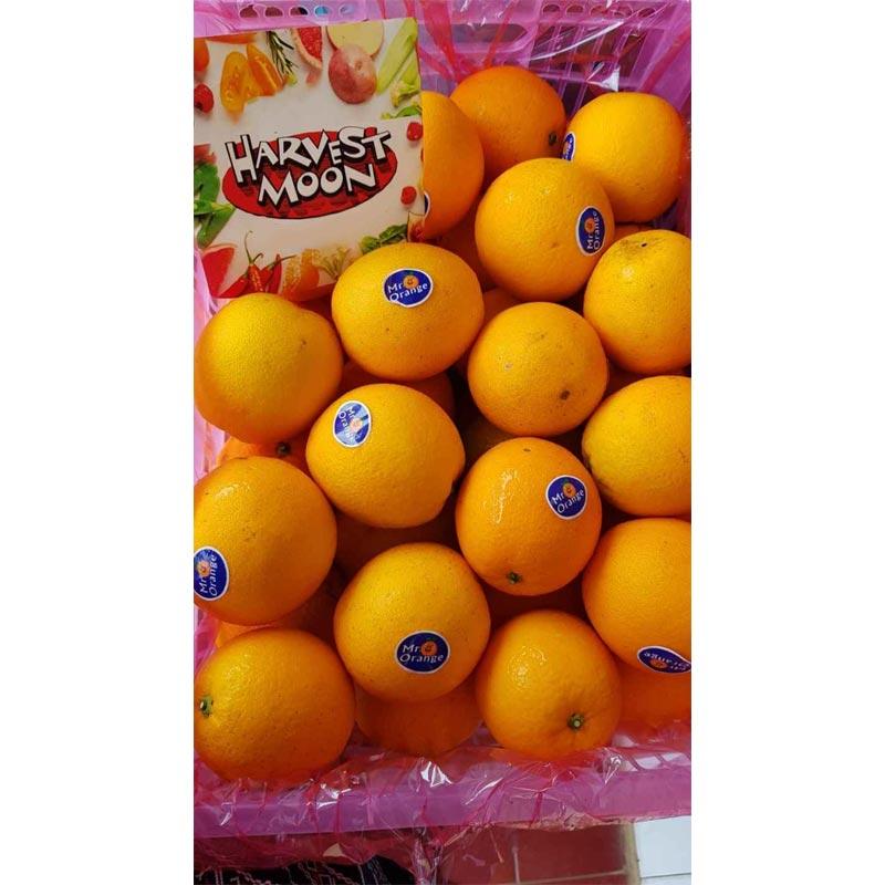 Jual Harvestmoon Sunkist Navel Mr. Orange Per Kg Halal Di Seller ...
