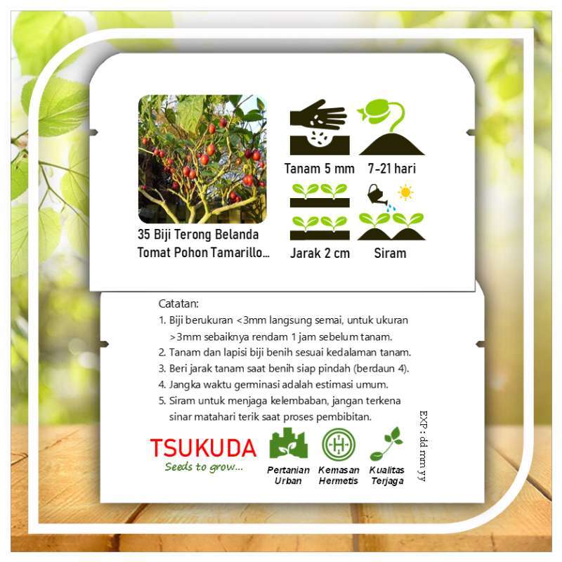 Jual 35 Biji Terong Belanda / Tomat Pohon / Terung Tamarillo Bibit ...