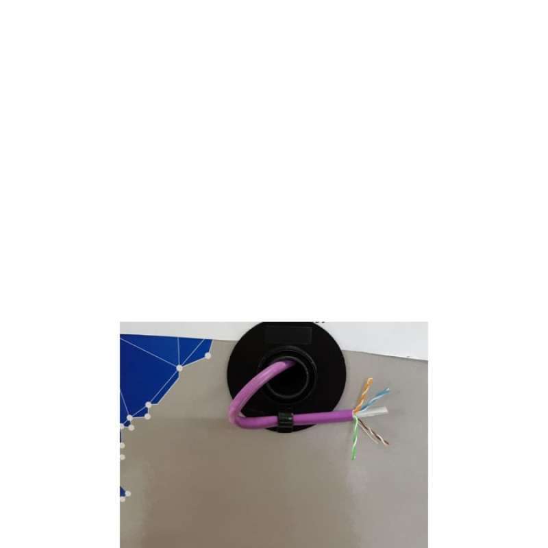 Promo Kabel Lan Cat6 Fiberhome Utp Cat 6 24awg Pvc Lszh White / Purple ...