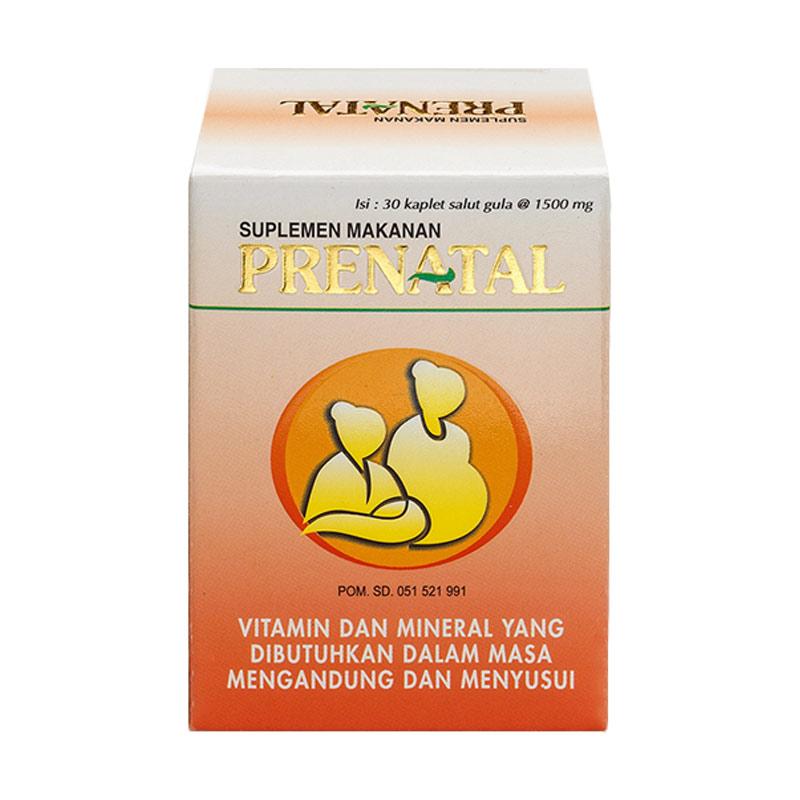 Jual Erlimpex Prenatal Multivitamin [30 Kaplet/ Kemasan Botol] di ...