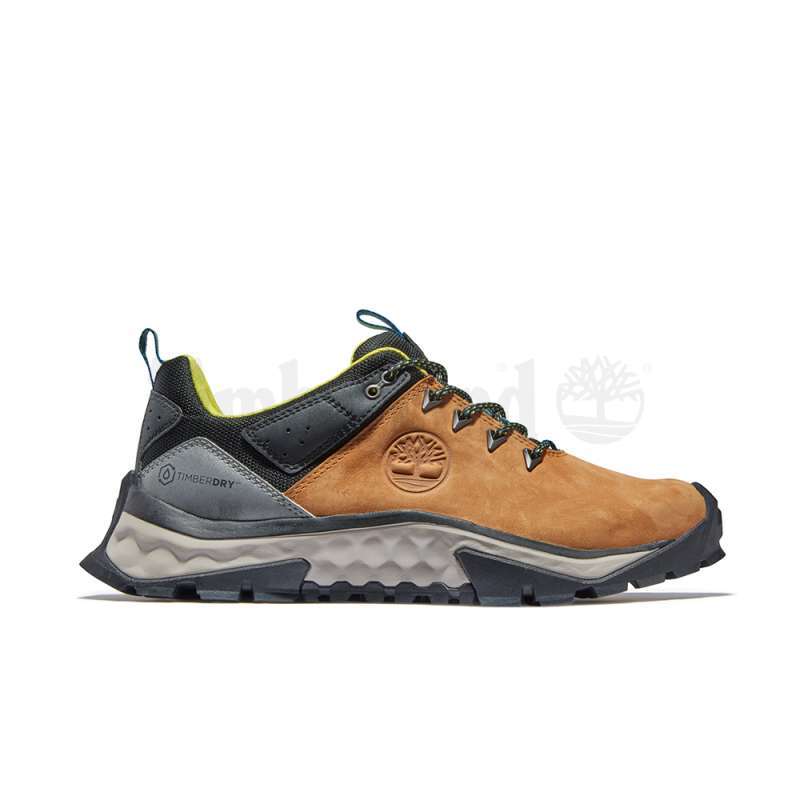 Jual Timberland Men Solar Ridge Low Waterproof Leather & Fabric Hiker W ...