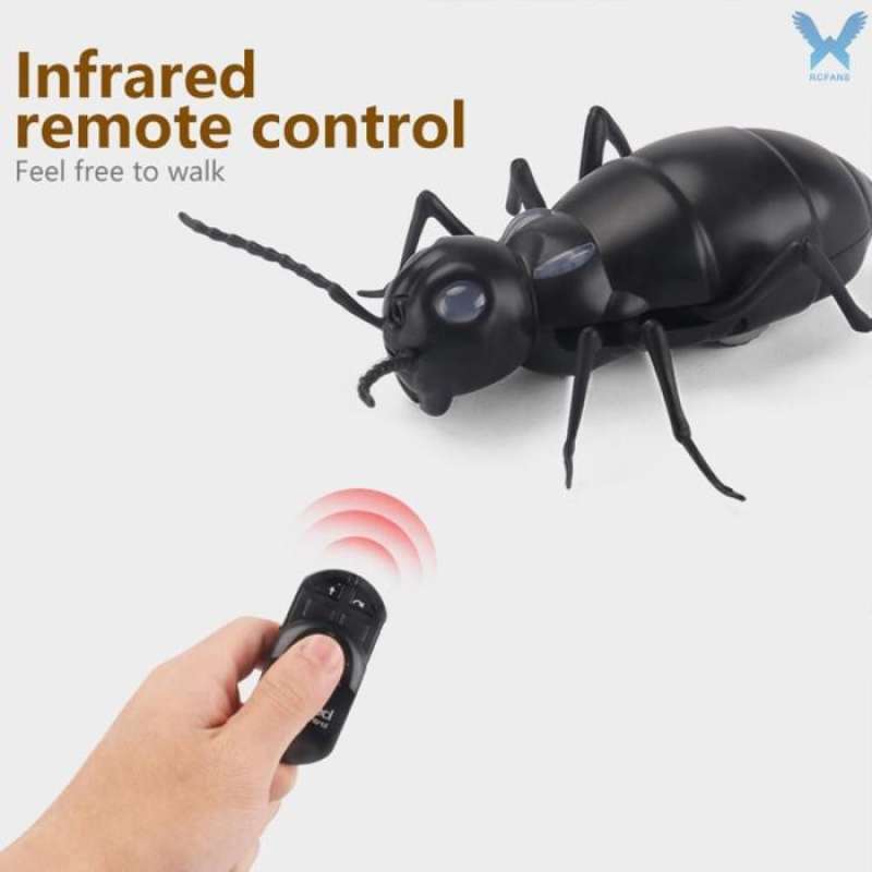 Jual Mainan Semut Hitam Raksasa Giant Ant Remote Control Serangga Di ...