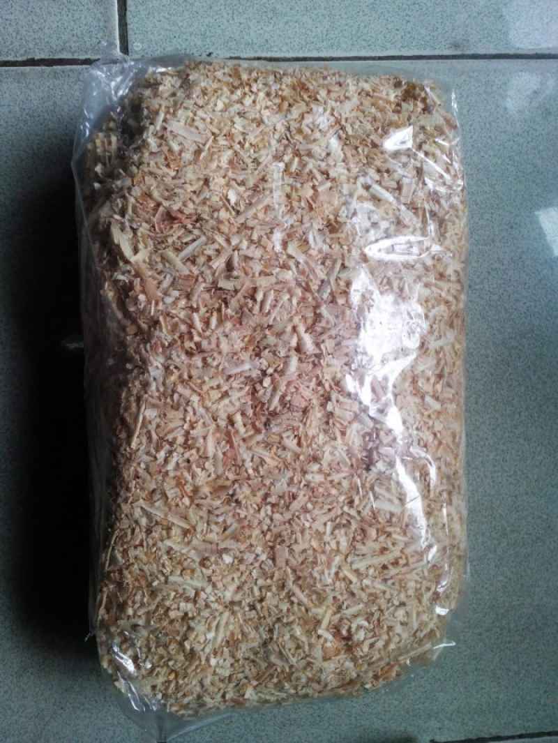 Toko Nala Shop Indonesia Online Original & Harga Terbaik | Blibli