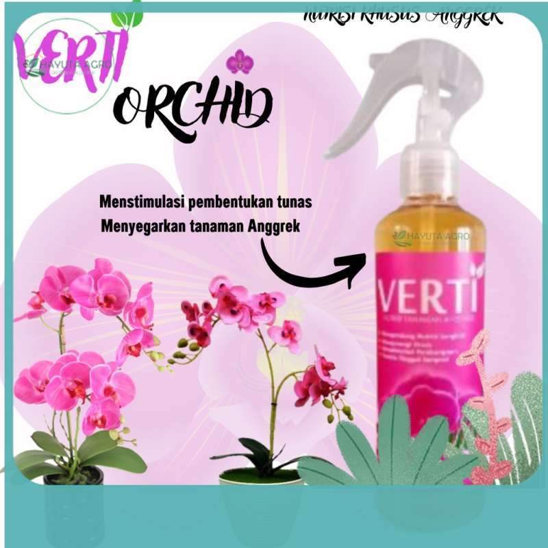 Promo Pupuk anggrek agar tumbuh subur, pupuk anggrek agar cepat ... Promo Pupuk anggrek agar tumbuh subur, pupuk anggrek agar cepat ...