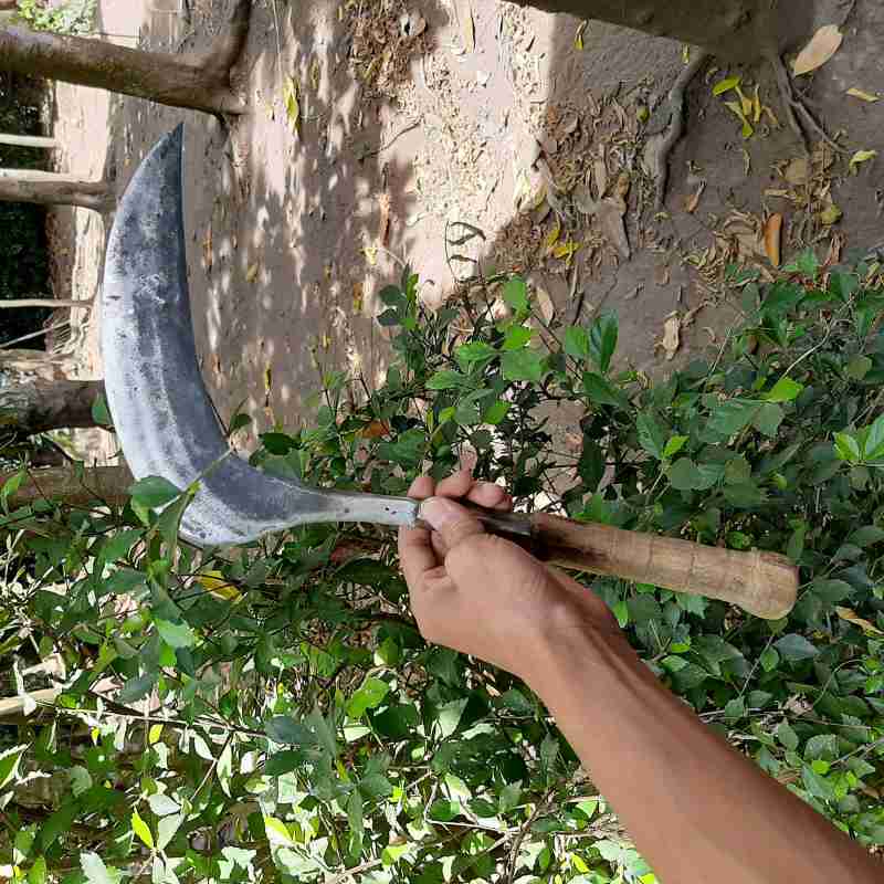 Jual ARIT RUMPUT PADI BAJA ISEN HALUS TAJAM di Seller Pande Baja Putih ...