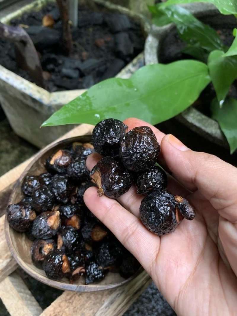 Jual Buah Lerak 1 Kg di Seller Bumi Indonesia - Bumi Indonesia | Blibli