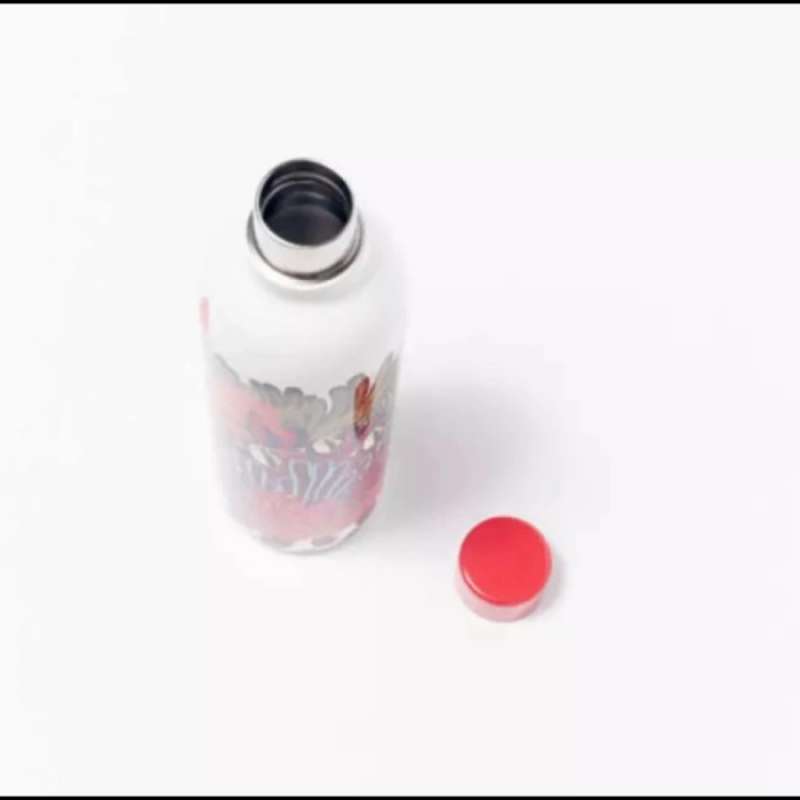 Jual Starbucks Wtbl 15.2 Ss Phillip Lim Coral Di Seller Nirma Store - Cengkareng Timur, Kota ...