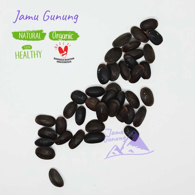 Promo Biji Kedawung Atau Kedaung 500gr Asli Hutan - Lebih Berkhasiat ...