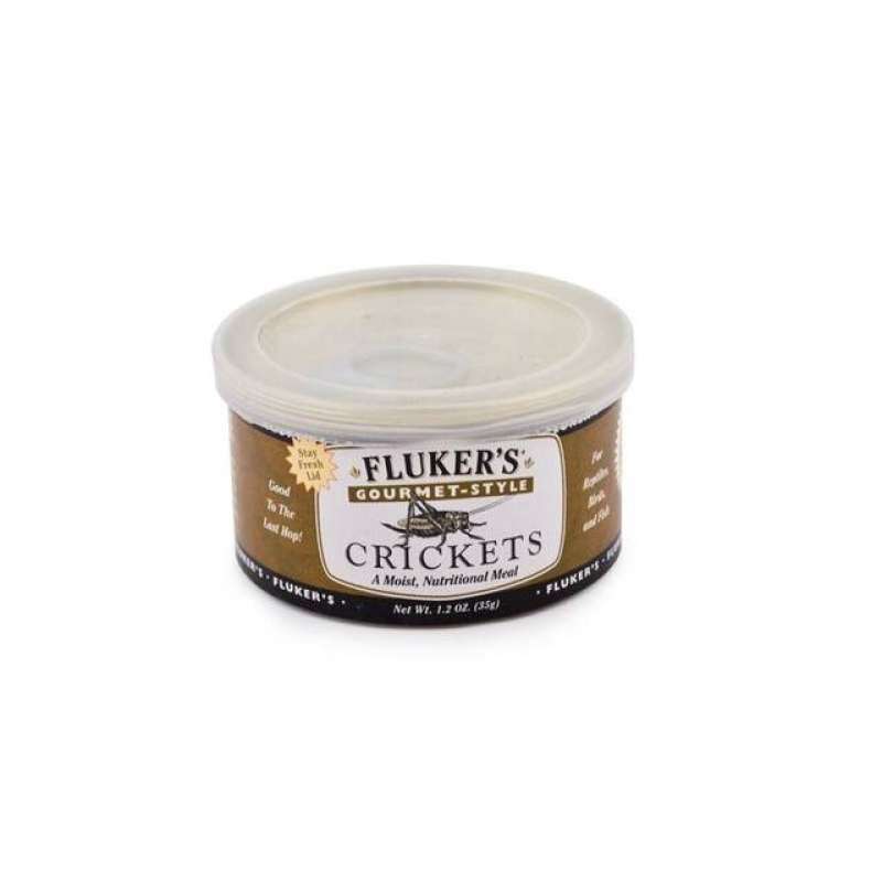 Promo Fluker Gourmet Canned Cricket Diskon 23% di Seller Kamupet - Kota ...