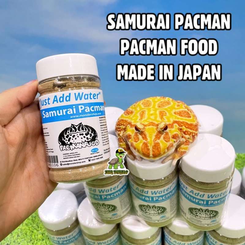 Promo SAMURAI PACMAN FOOD MAKANAN KODOK AMPHIBI GREEN PACMAN ALBINO ...