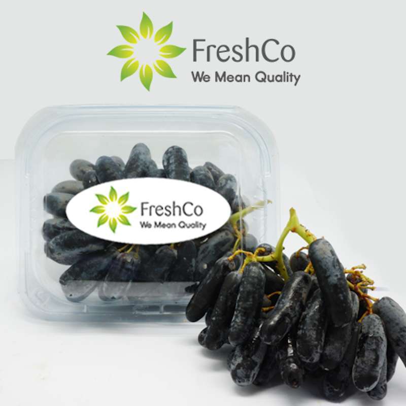 Jual FRESHCO SURABAYA Sweet Sapphire Anggur Hitam [ 500 g ] di Seller ...