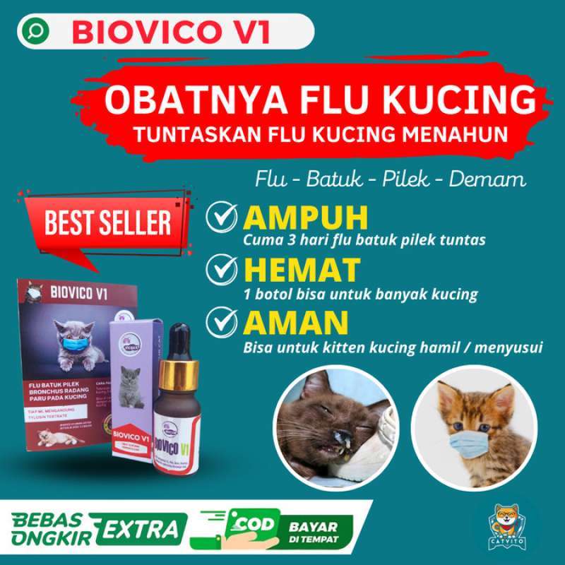 Promo Obat Virus Flu Pilek Kucing Biovico V1 Ampuh Atasi Batuk Demam ...