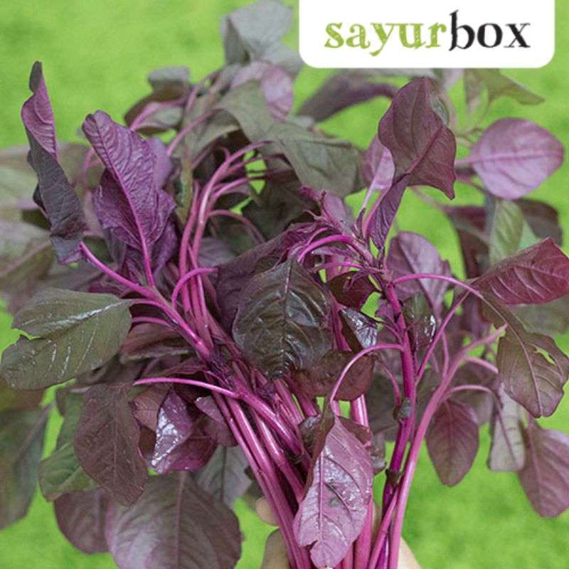 Jual Bayam Merah Konvensional 1 kg Sayurbox - JKT di Seller Sayurbox ...