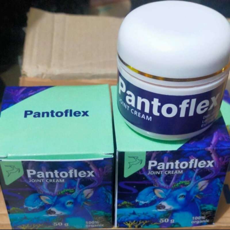 Jual Pantoflex Asli Obat Cream Nyeri Otot Sendi Rematik Lutut Herbal ...