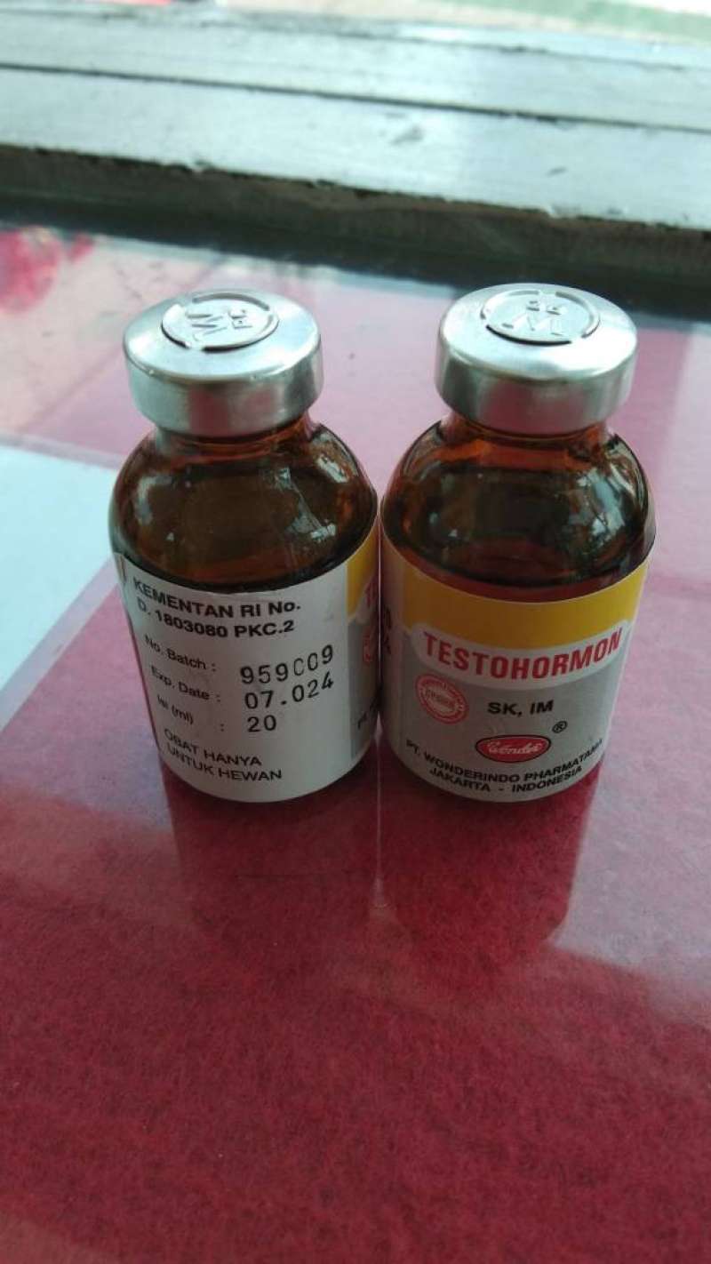 Promo Testohormon Injeksi (testoteron P 30 Mg)/testohormon Hormon ...