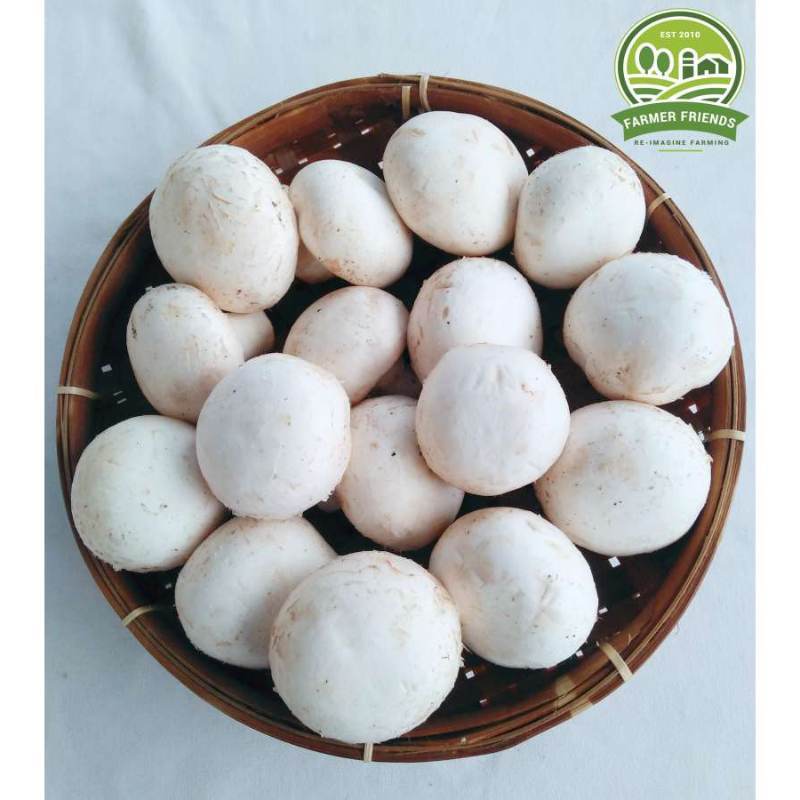 Jual Sayur Farmer Friends - Jamur Champignon (1 kg) Halal di Seller PT ...