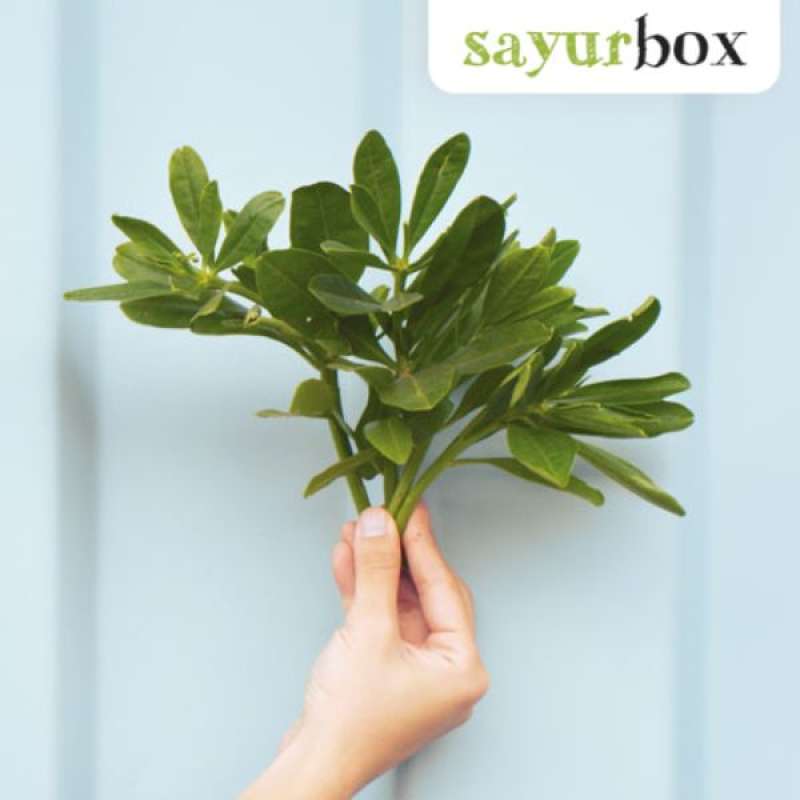Jual Daun Ginseng Konvensional 250 gram Sayurbox - JKT Halal di Seller ...