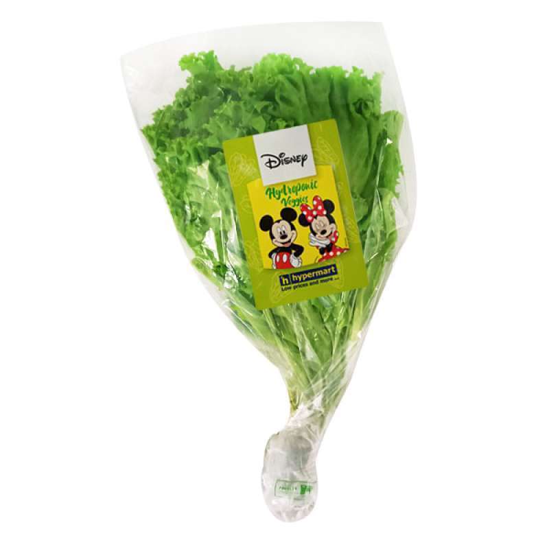 Jual Disney Selada Keriting Hydroponik Pack di Seller Hypermart Sentul ...