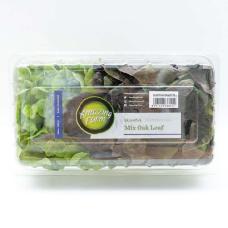 Jual Salanova Mix Oakleaf - 200Gr di Seller SAYURKITA2017 - Mangga Dua ...