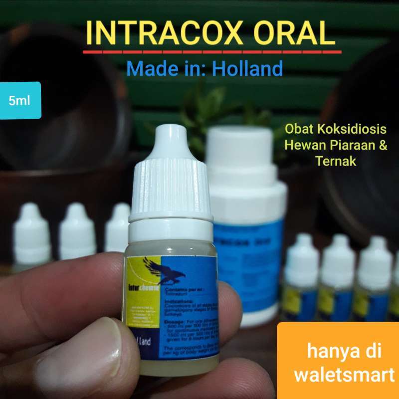 Promo Intracox Oral 5ml Obat Koksidiosis pada Kelinci Kucing Kambing ...