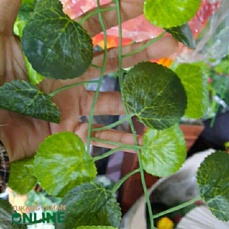 Jual Tanaman Sintetis Rambat Daun Bulat Ukuran Kecil Panjang 2 Meter di ...