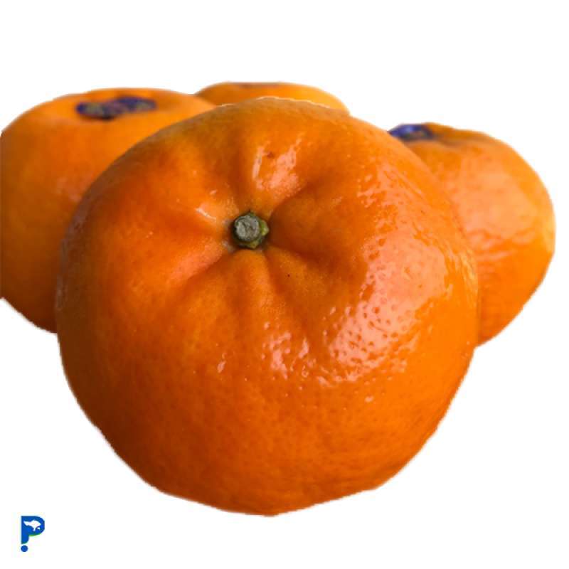 Jual Jeruk Wogan Mandarin Harga Grosir Juli 2024 - Blibli