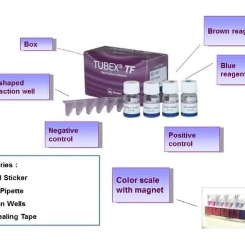 Promo TUBEX TF ORIGINAL Diskon 5% di Seller Syaf - Kota Jakarta Utara ...