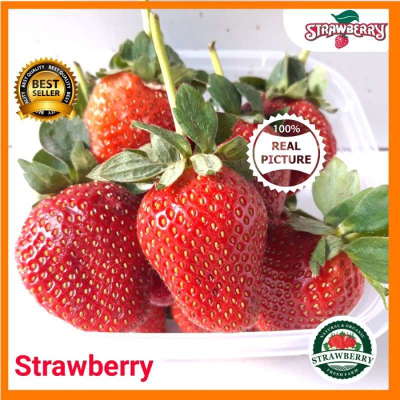 Jual Buah Strawberry Stroberi Fresh Buah Segar Buah Stroberi Segar 1kg ...