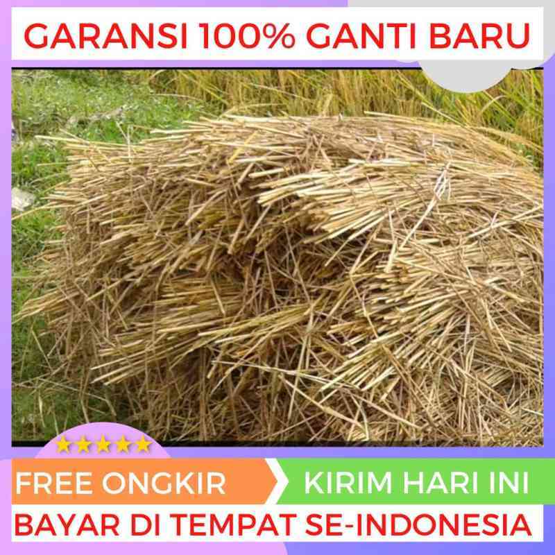Promo JERAMI / JERAMI ALAS KANDANG KELINCI Diskon 30% di Seller GUDANG ...