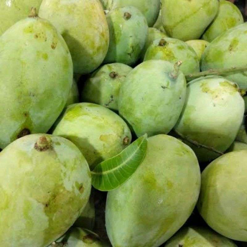Jual Mangga Cengkir Muda 1kg|buah Segar|buah Bandung Di Seller ...