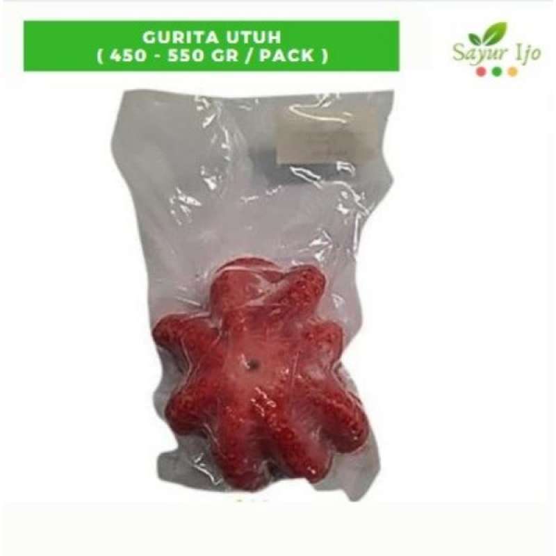 Jual Gurita Utuh 450 - 550 Gram - Pack Fresh Frozen Octopus Seafood ...