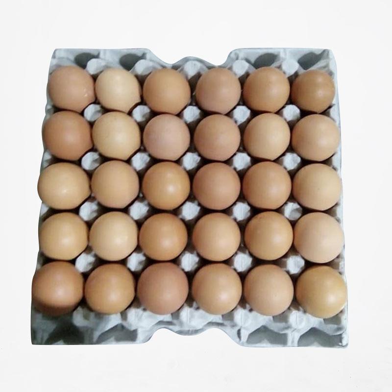 Jual Sajira Farm Telur Ayam Negeri Omega Curah [30 Butir] di Seller ...