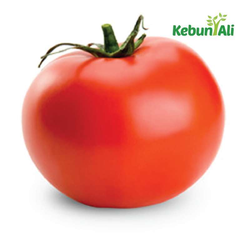 Jual Kebun Ali - Tomat Apel Organik 500 gr di Seller Kebun Ali - Kota ...