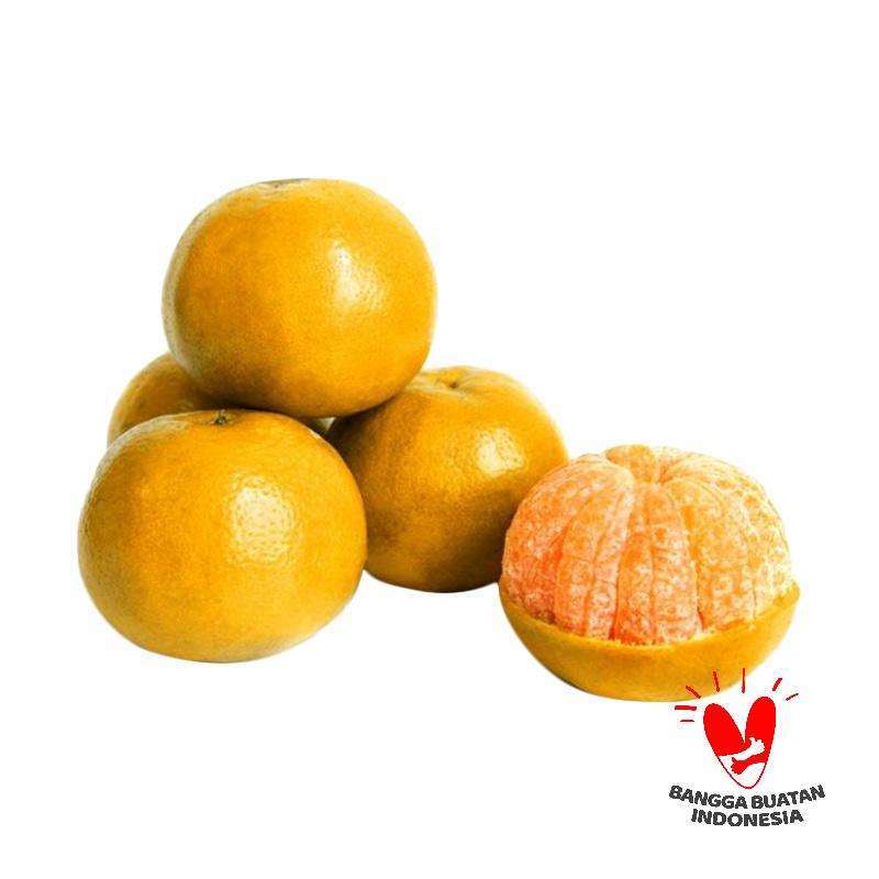 Promo Bibit Tanaman Buah Jeruk Siam Madu Diskon 12% Di Seller Agro Jaya ... Promo Bibit Tanaman Buah Jeruk Siam Madu Diskon 12% Di Seller Agro Jaya ...