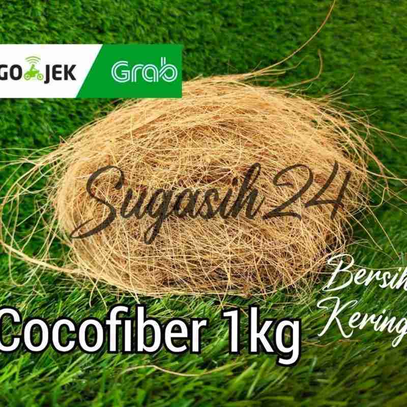 Jual Serabut Kelapa 1 Kg Original Murah - Harga Diskon Juli 2024 ...