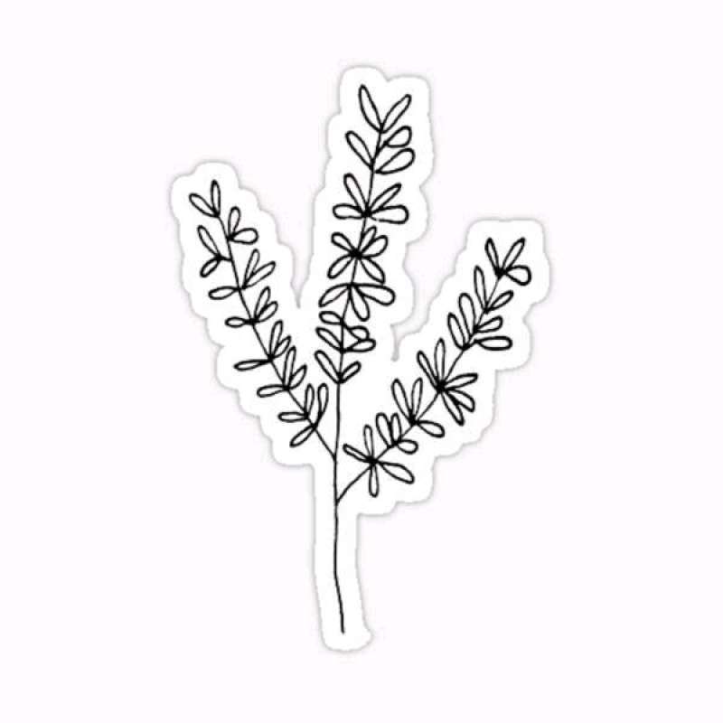 Jual Aesthetic Sticker Bunga Di Seller Rhi Cv Zonie - Karangwangkal ...