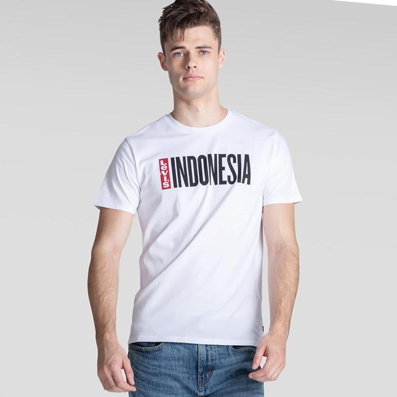Jual Levi's Destination Tab T2 Indonesia City Tee Box Mineral T-shirt ...
