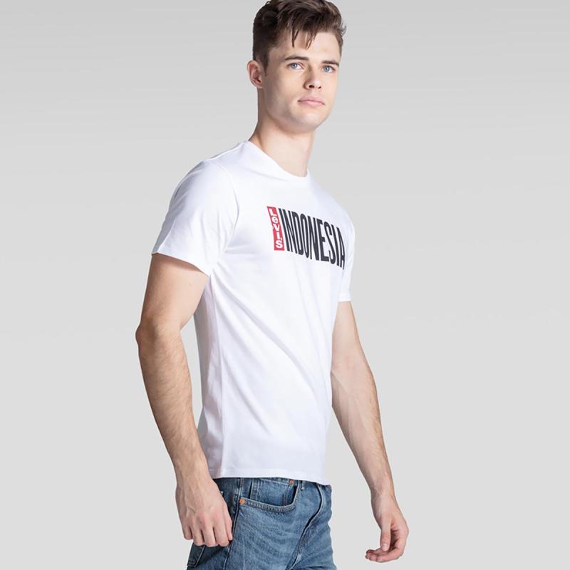 Jual Levi's Destination Tab T2 Indonesia City Tee Box Mineral T-shirt ...