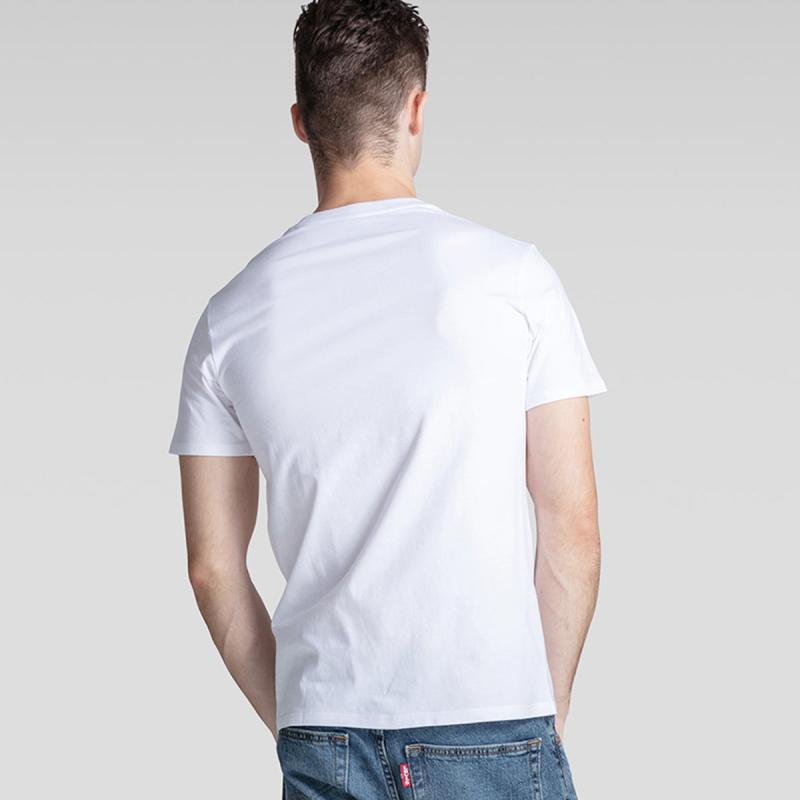 Jual Levi's Destination Tab T2 Indonesia City Tee Box Mineral T-shirt ...