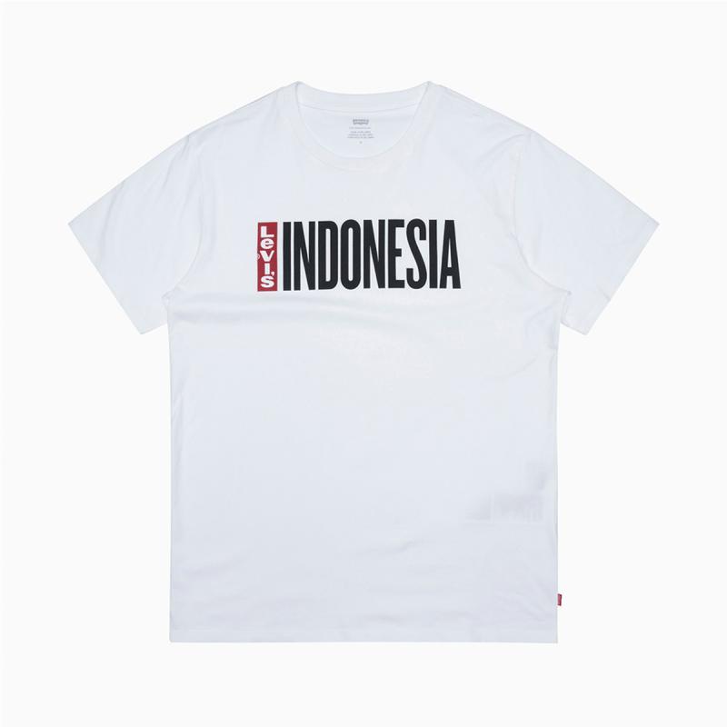 Jual Levi's Destination Tab T2 Indonesia City Tee Box Mineral T-shirt ...
