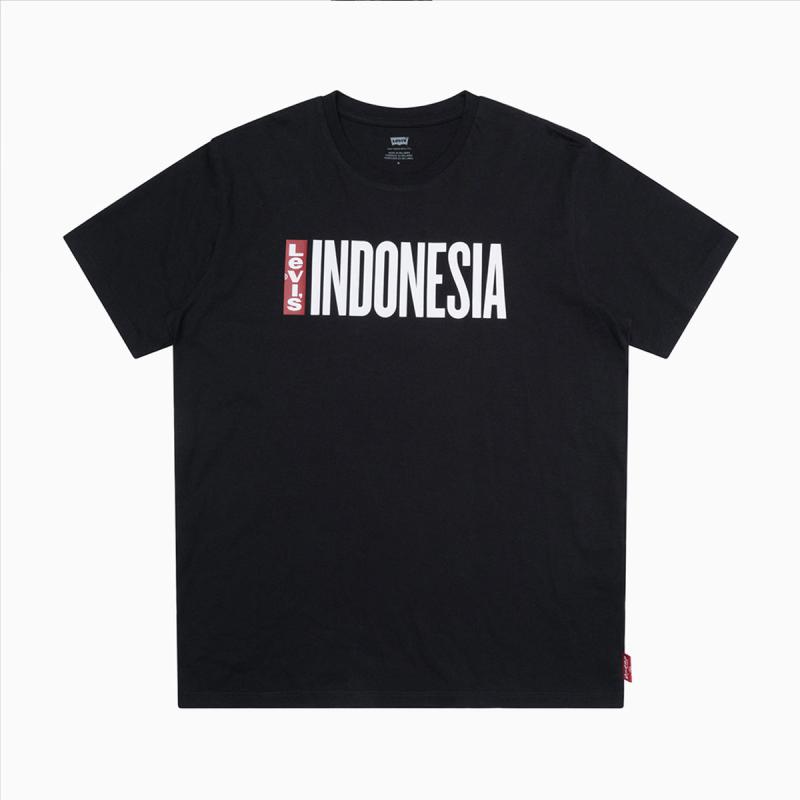 Jual Levi's Destination Tab T2 Indonesia City Tee Box Mineral T-shirt ...