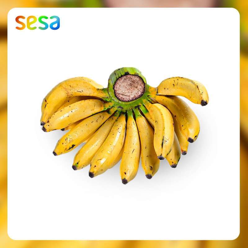 Jual Pisang Raja Sereh /Sisir di Seller Sesa Official Store - Kebayoran ...