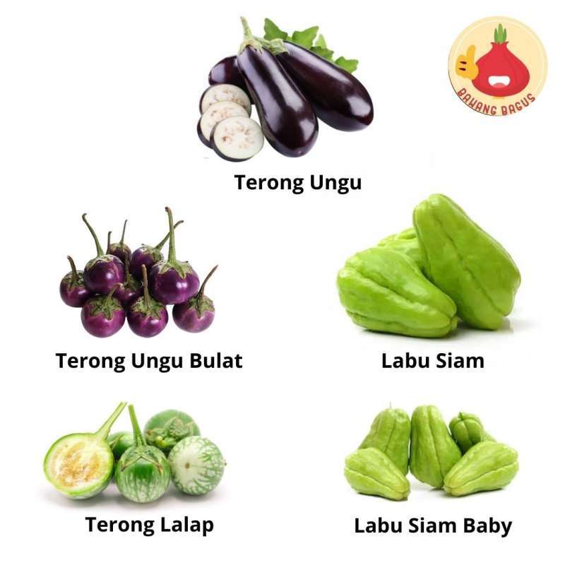 Jual Terong Ungu / Terong Lalap / Labu Siam / Labu Siam Baby / Labu ...