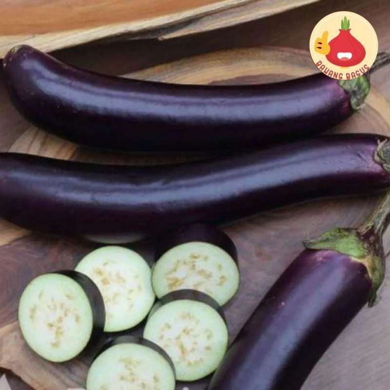 Jual Terong Ungu / Terong Lalap / Labu Siam / Labu Siam Baby / Labu ...