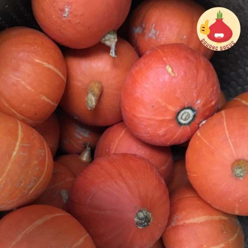 Jual Terong Ungu / Terong Lalap / Labu Siam / Labu Siam Baby / Labu ...