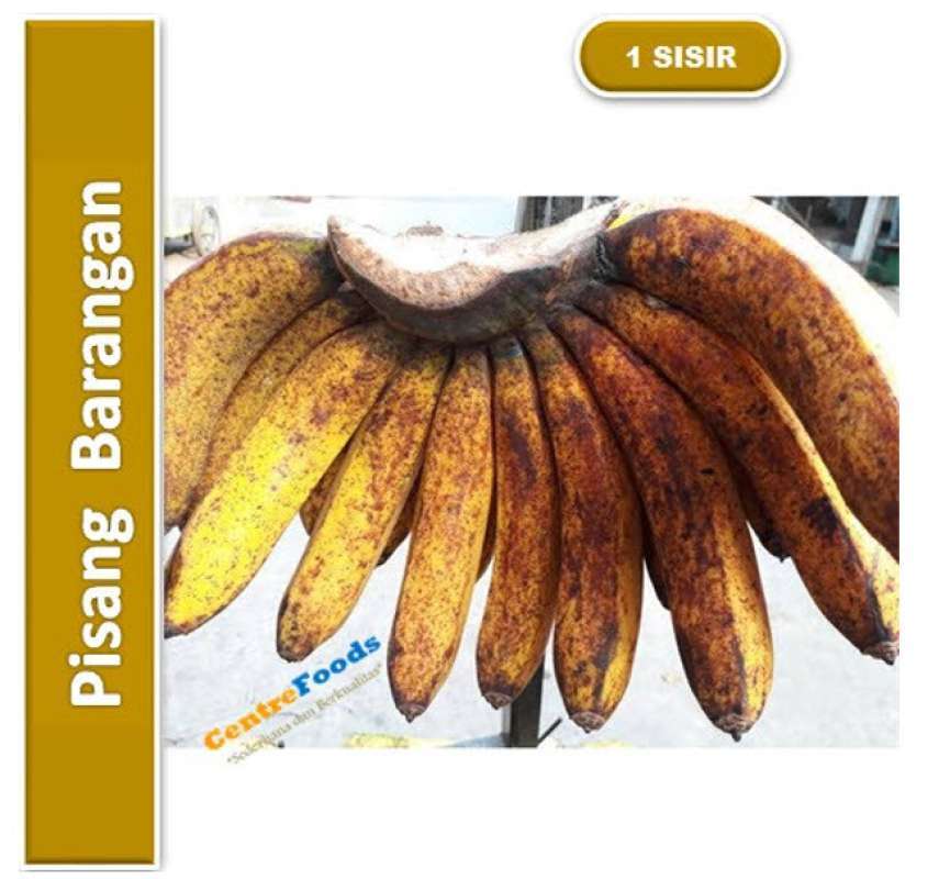 Jual Buah Pisang Barangan - Pisang Medan | 1 SISIR [ Harga Per PCS ...