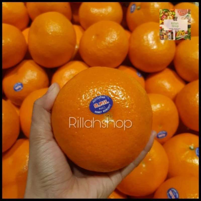Jual Buah Jeruk Honey Murcot Premium Australia/ Jeruk Kuoas Manis 1200 ... Jual Buah Jeruk Honey Murcot Premium Australia/ Jeruk Kuoas Manis 1200 ...